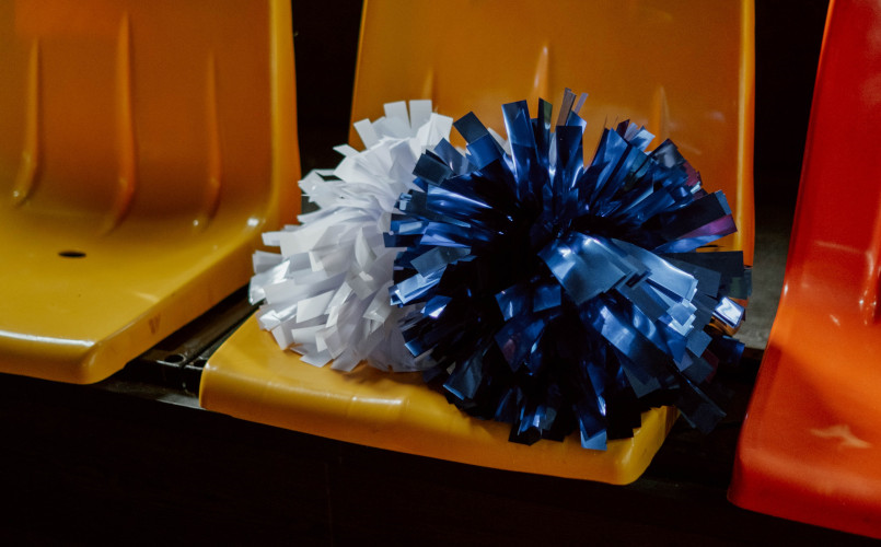 Toho Junior Tigers > Home