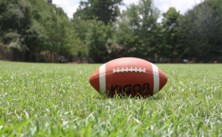 Toho Junior Tigers > Home