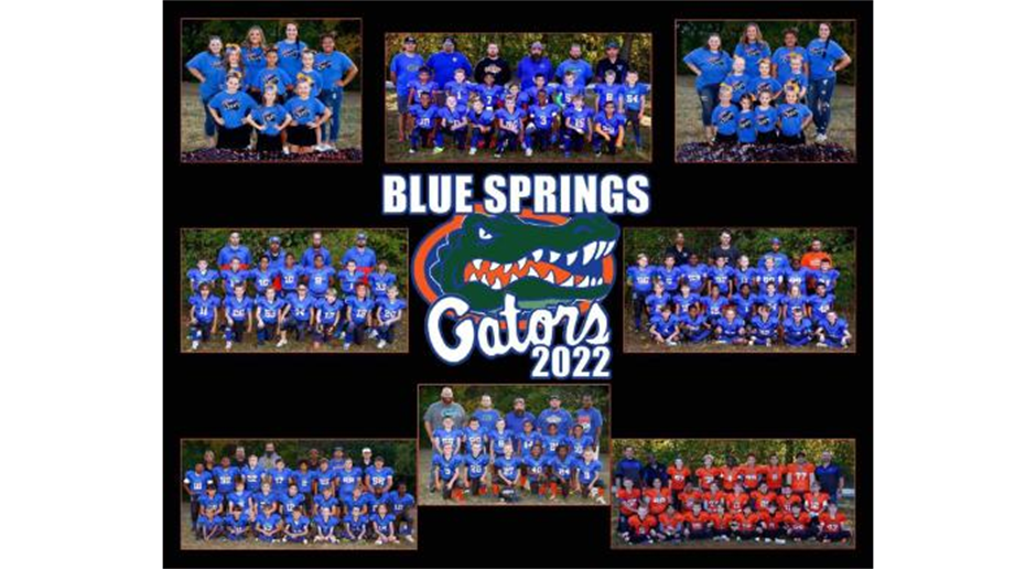 Blue Springs Gators > Home