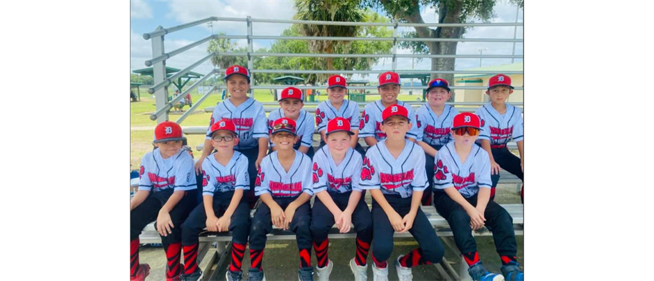 Dunnellon Little League > Home