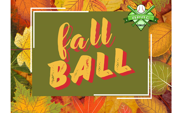 Home [leagues.bluesombrero.com]